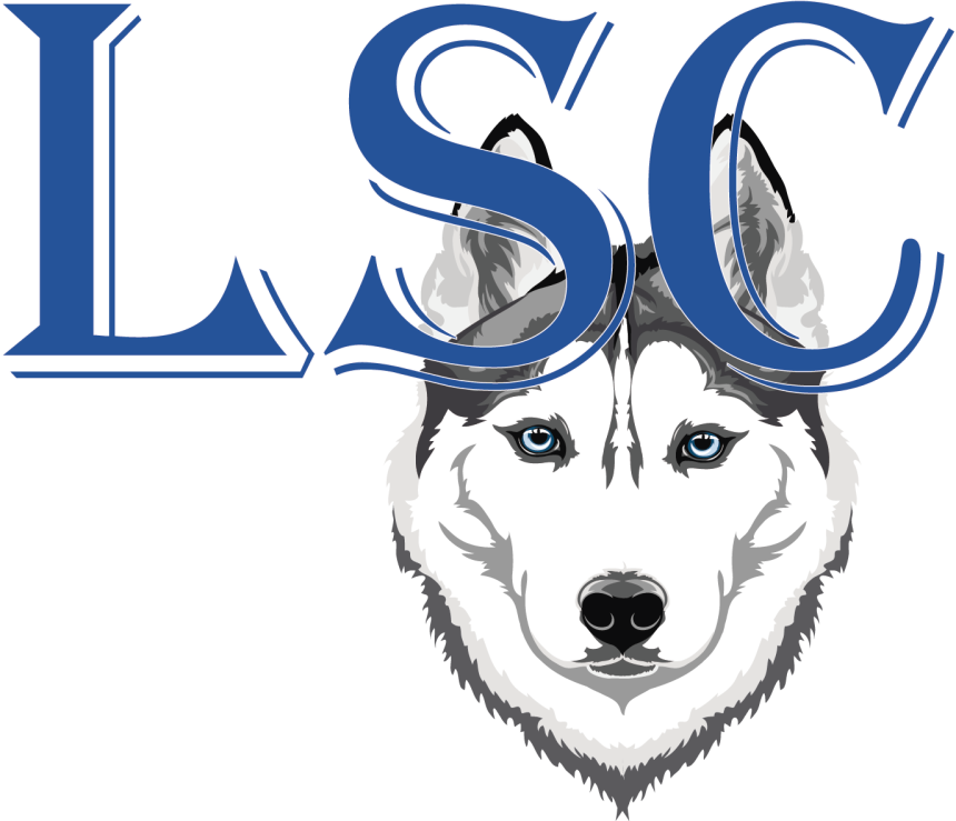 CABLE DE RED UTP CAT6 PROFESIONAL 100% COBRE - LSC STORE